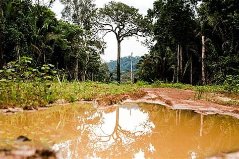 Código Florestal Pode Tirar Proteção De 15 Milhões De Radioagência