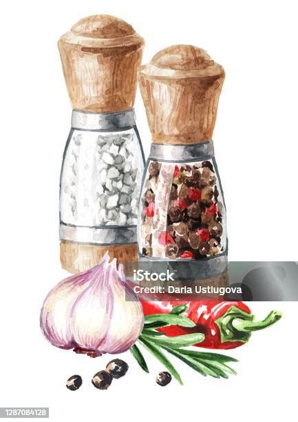 부엌 향신료 후추와 소금 공장 로즈마리 마늘 칠리 페퍼 후추 흰색 배경에 고립 된 손으로 그린 수채화 그림 고춧가루에 대한 스톡 벡터 아트 및 기타 이미지 Istock