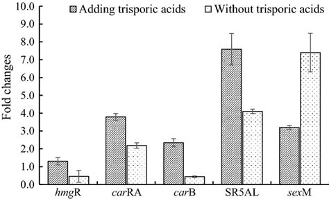 Expression Of Carotenoid Synthesis Genes And The Sexm Gene In Sr5al