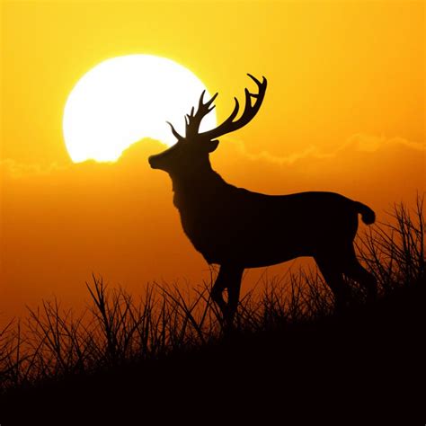 Je Ne Suis Pas La Bonniche De Ton Fils Ni Son Souffre Douleur Si Tu