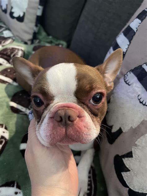 Our Poor Ariel Had Been Through The Ringer The Last Couple Of Days R