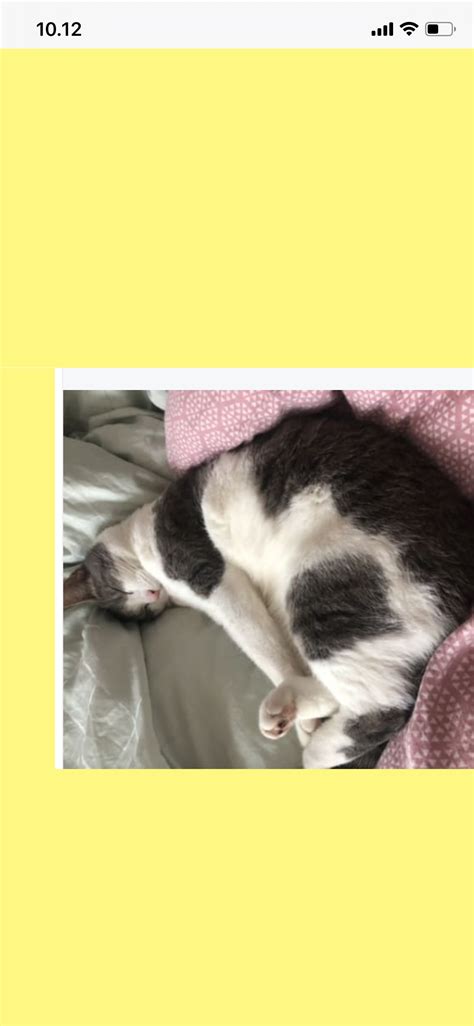 Html Ios Rotates Image When Lower Resolution Selected Html5 Input File Stack Overflow