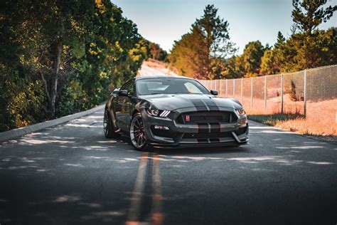 Sex On Wheels Lead Foot Gray Gt350r