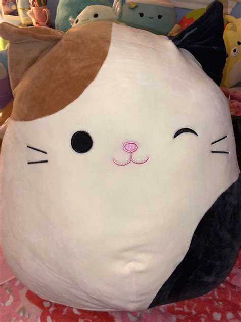 Squishmallow 16 Cameron The Cat Online Collection Egerton Ac Ke