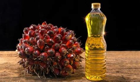 Palm Oil At Best Price In Vadodara By New India Acid Baroda Pvt Ltd