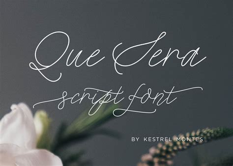 Que Sera Monoline Script ~ Script Fonts ~ Creative Market