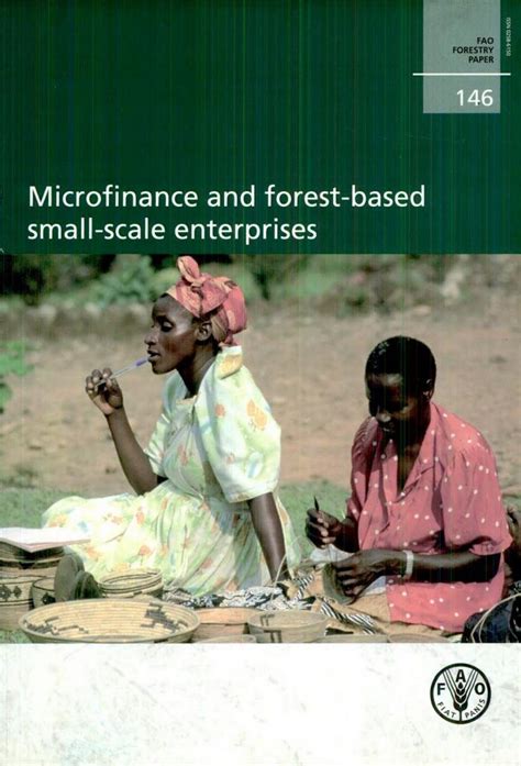Microfinance And Forest Based Small Scale Enterprises NHBS Academic Professional Books