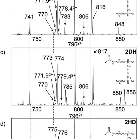 A Frips Of The Doubly Protonated Aaraaacaa Disulfide Bridged Dimer