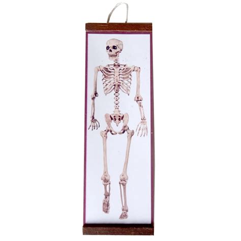 Skeleton Chart Shepherd Miniatures