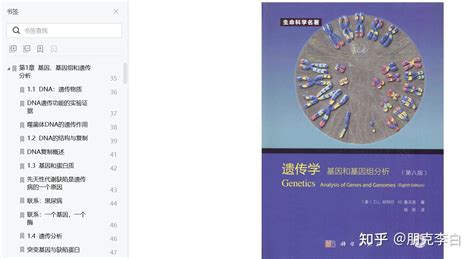你似乎来到了没有知识存在的荒原 知乎