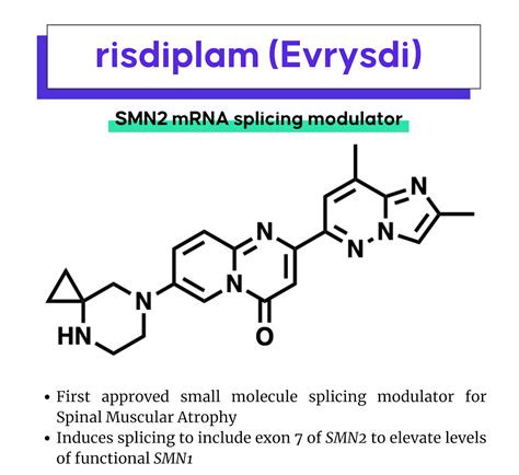 Molecule Spotlight Risdiplam The First Approved Small Molecule