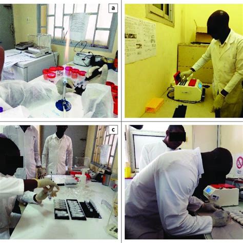 Tuberculosis Loop Mediated Isothermal Amplification Trainings During Download Scientific