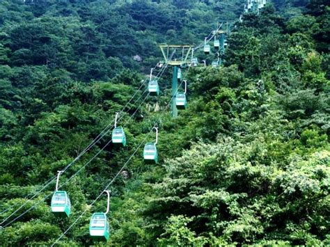 麻城龟峰山景区官方网站——中华长寿山，世界杜鹃园 景区咨询