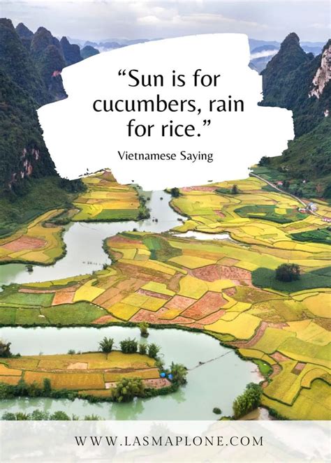 100 Best Vietnam Quotes And Vietnam Instagram Captions Beautiful