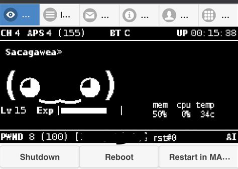 Pwned First 100 R Pwnagotchi