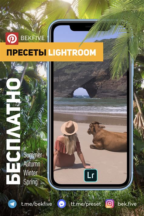 Пресеты бесплатно Инстаграм Пленочные фотографии Фотоискусство