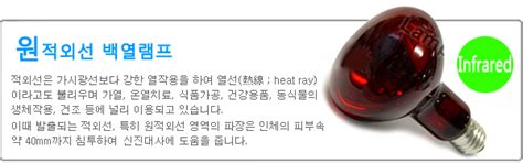 조명 전구의 종류 할로겐램프 백열램프 컴팩트형광램프 형광램프 방전램프 자외선램프 Led램프 네이버 블로그