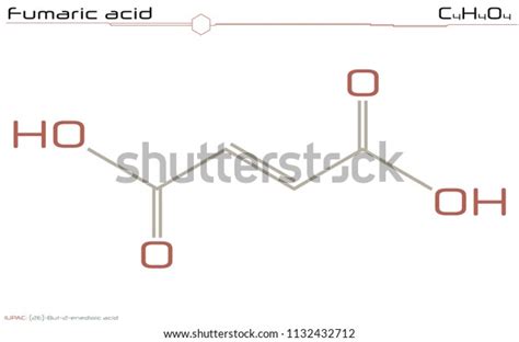 Large Detailed Infographic Molecule Fumaric Acid Stock Vector Royalty