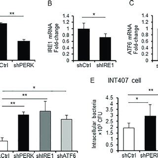 UPR Signaling Plays An Important Role In The Defense Response Against
