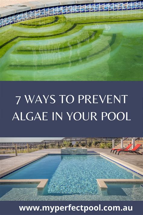Tips To Prevent Algae In Your Pool Pool Solar Pool Cover Pool Cleaning Tips