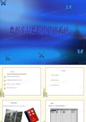 数据库PPT模板 数据库PPT模板下载 熊猫办公