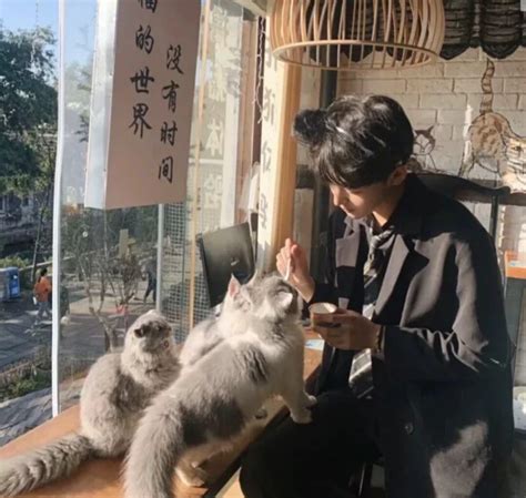 第1139期｜情侣头像：0928不明显的单人情头推荐 知乎