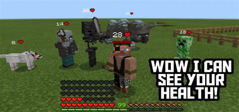 Damage Indicator Addon V2 BIG UPDATE Minecraft PE Mods Addons