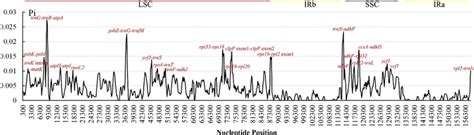 sliding window analyses of the chloroplast genomes of eight firmiana