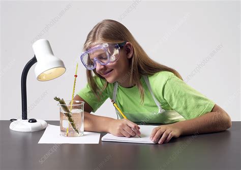 Elodea Experiment Why Do We Use A Glass Funnel In The Experiment And