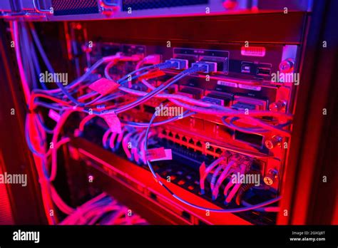 Close Up Image Of Details Rack With Server And Different Cables With Neon Pink And Blue In