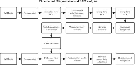 Main Processes Of Independent Component Analysis Ica And Dynamic
