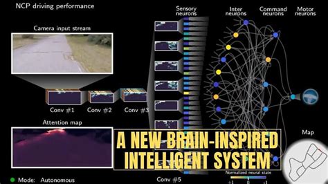A New Brain Inspired Intelligent System Can Drive A Car Using Only 19 Control Neurons