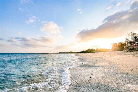 好吃果冻 你知道你的肠道有多堵吗 肠道是人体内最大的排毒器官，人体80 以上的毒素由肠道排出体外。日常饮食中，大多数营养物质都在小肠被吸收，而难于消化吸收的食物残渣进入大肠，最终形成粪便下