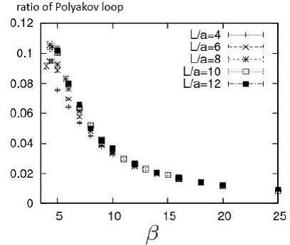 The ratio of Polyakov loop in each β and L a Download Scientific Diagram