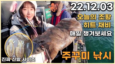 엄청 추워진 요즘 주꾸미 조황은 어떨까요 Youtube