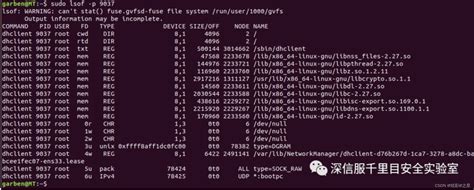 应急响应 Hw之linux 应急响应之入侵排查技巧应急响应linux 入侵检测 Csdn博客