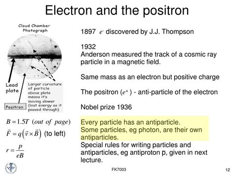 Ppt Elementary Particle Physics Powerpoint Presentation Free