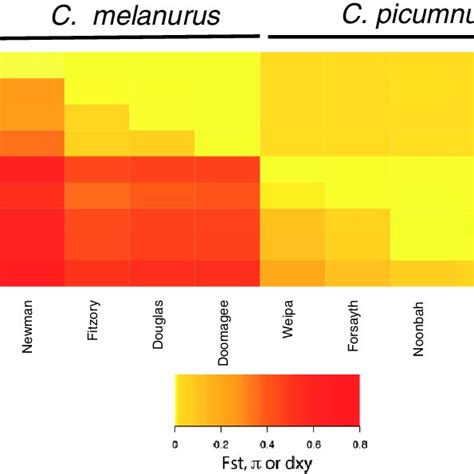 Heatmap Of F St Below Diagonal And D Xy Above Diagonal For