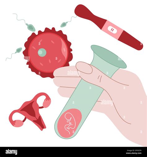 The Vector With Hands Hold Test Tube With Embryo For Artificial