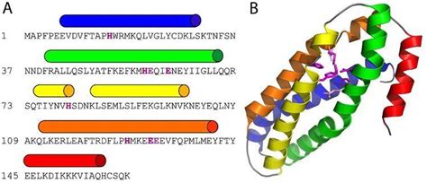 Hemerythrin Alchetron The Free Social Encyclopedia