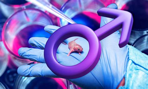 Scientists Just Created Mice With Two Biological Fathers