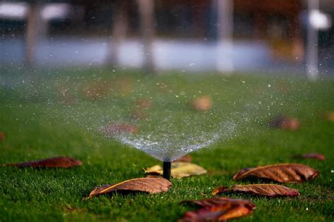 How The American Lawn Was Born 10 Moments That Shaped Our Frontyards