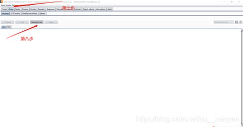 Ctf Sql注入（post）ctfphpmyadmin Sql Dump Csdn博客