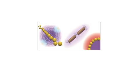 Directed Self Assembly Of Nanoparticles Acs Nano