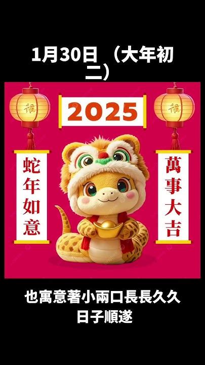 1月30日 （大年初二） Youtube