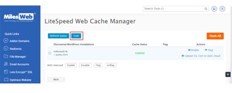How To Enable LiteSpeed Web Cache Manager On CPanel MilesWeb