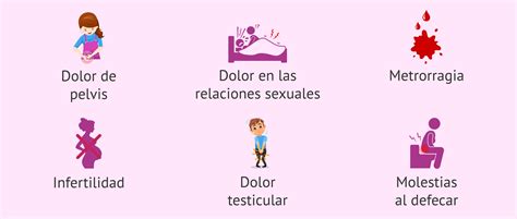 ¿qué Es Un Teratoma Definición Tipos Causas Y Síntomas