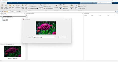 How To Save Image Matrix To A File Using IMWRITE From MATLAB App