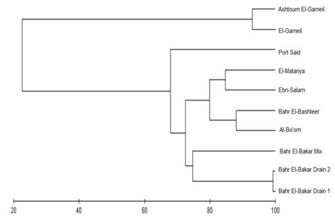 Dendrogram Showed The Similarity Between Sampling Stations Based On