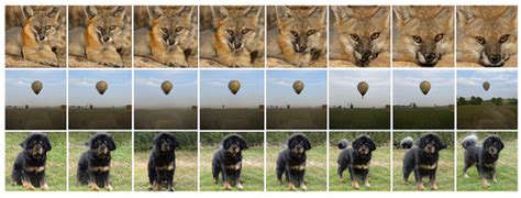 Applied Sciences Special Issue Computer Vision And Pattern Recognition Based On Deep Learning